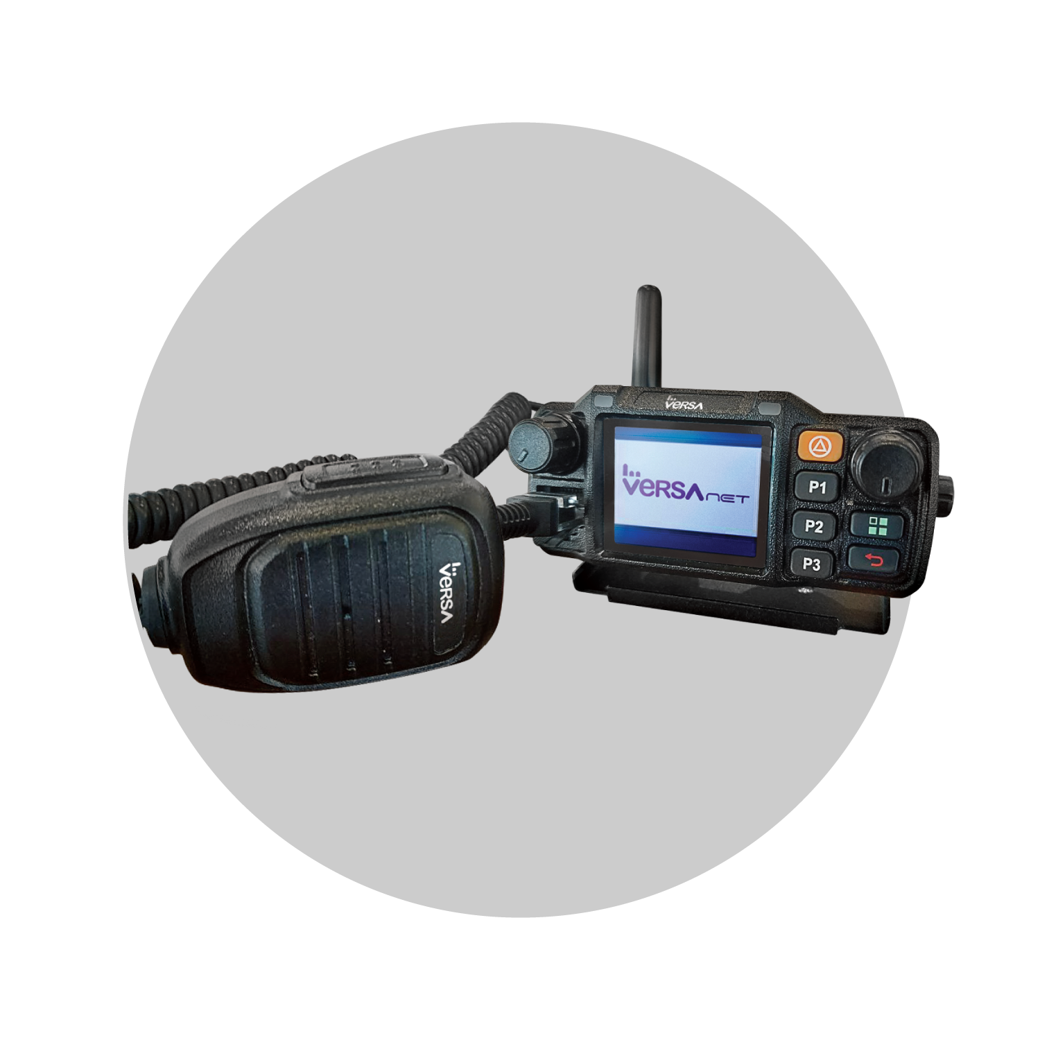 Versa NetEdge | Versa Philippines